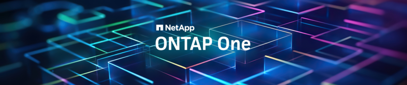 NetApp ONTAP One